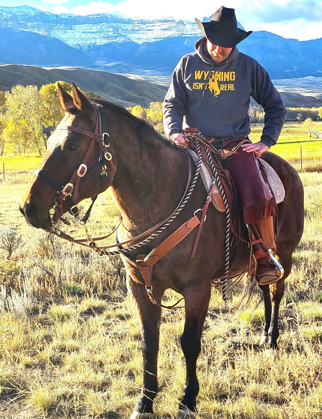 WYOMING ISN'T REAL – Wyoming Isn't Real